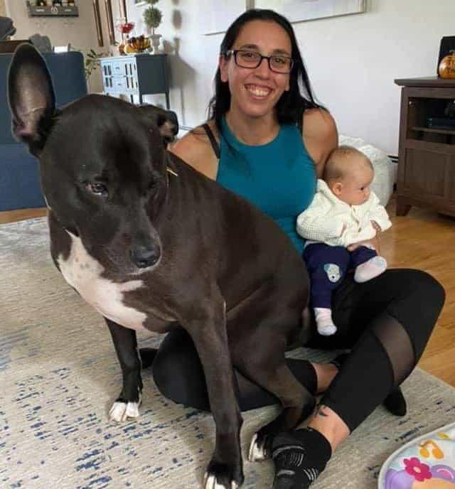 meet the sitters | Gentle Pet Protectors Inc.